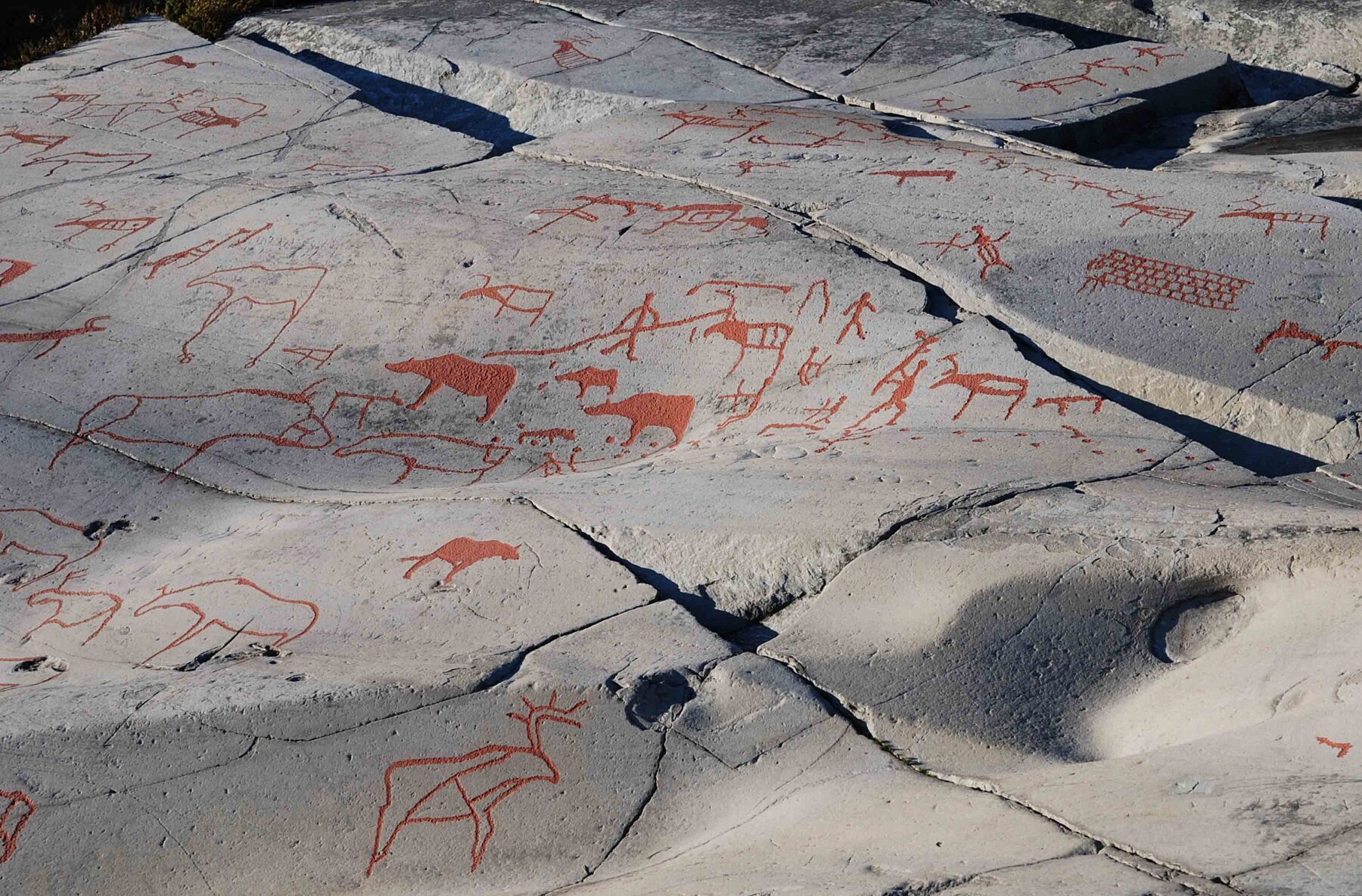 The red-painted rock carvings | Alta Museum