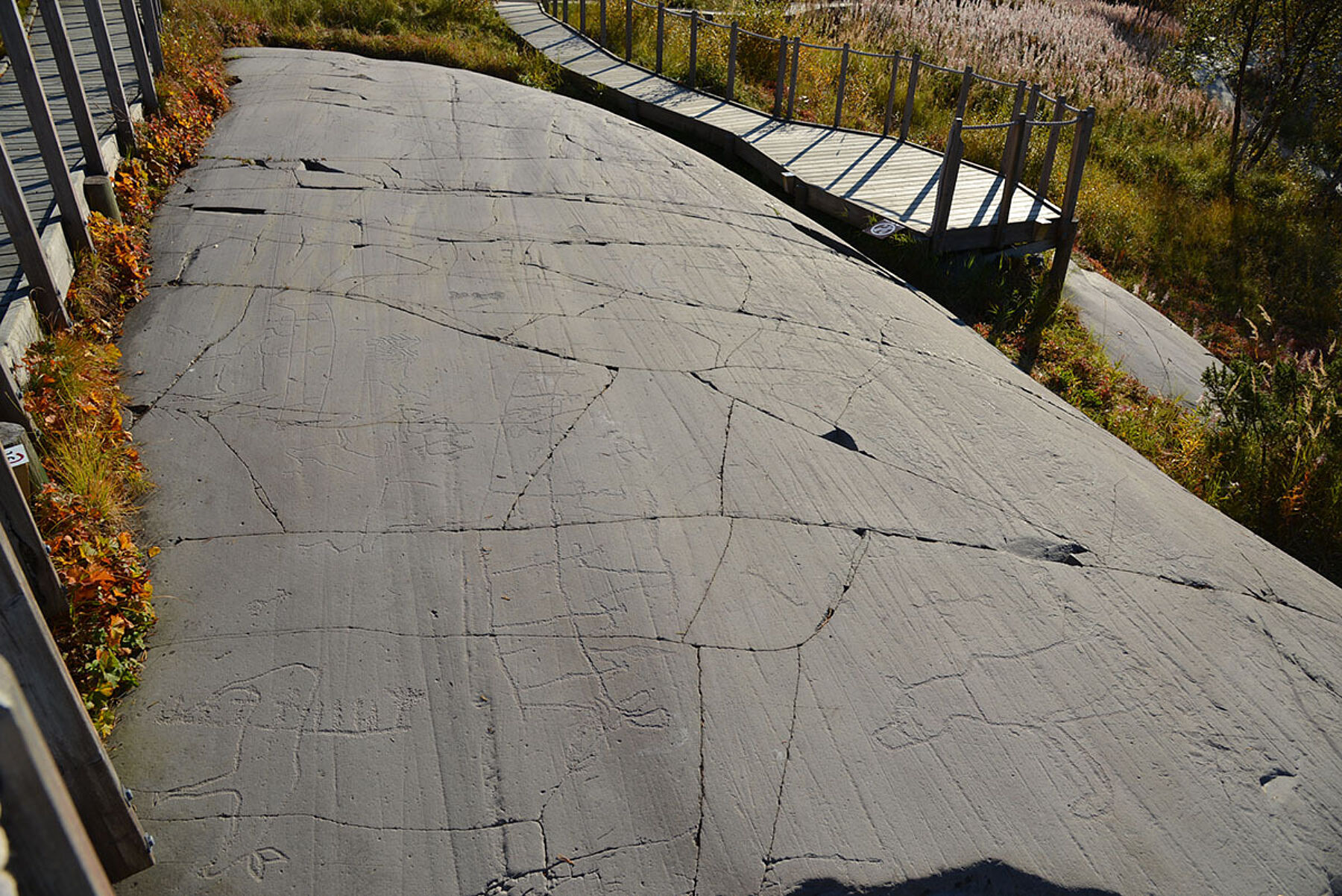 The Rock Art of Alta | Alta Museum