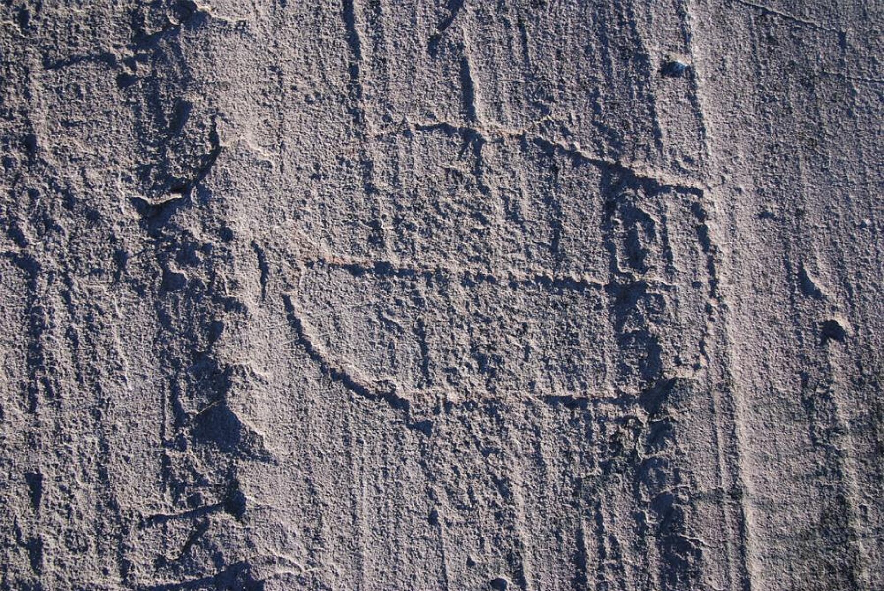 Elk track | Alta Museum