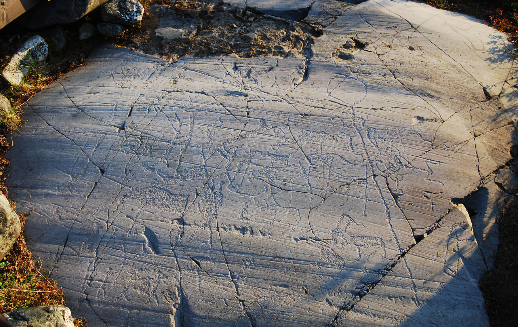 The Rock Art of Alta | Alta Museum