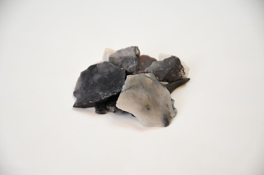 Object of the month: Lithic flakes | Alta Museum