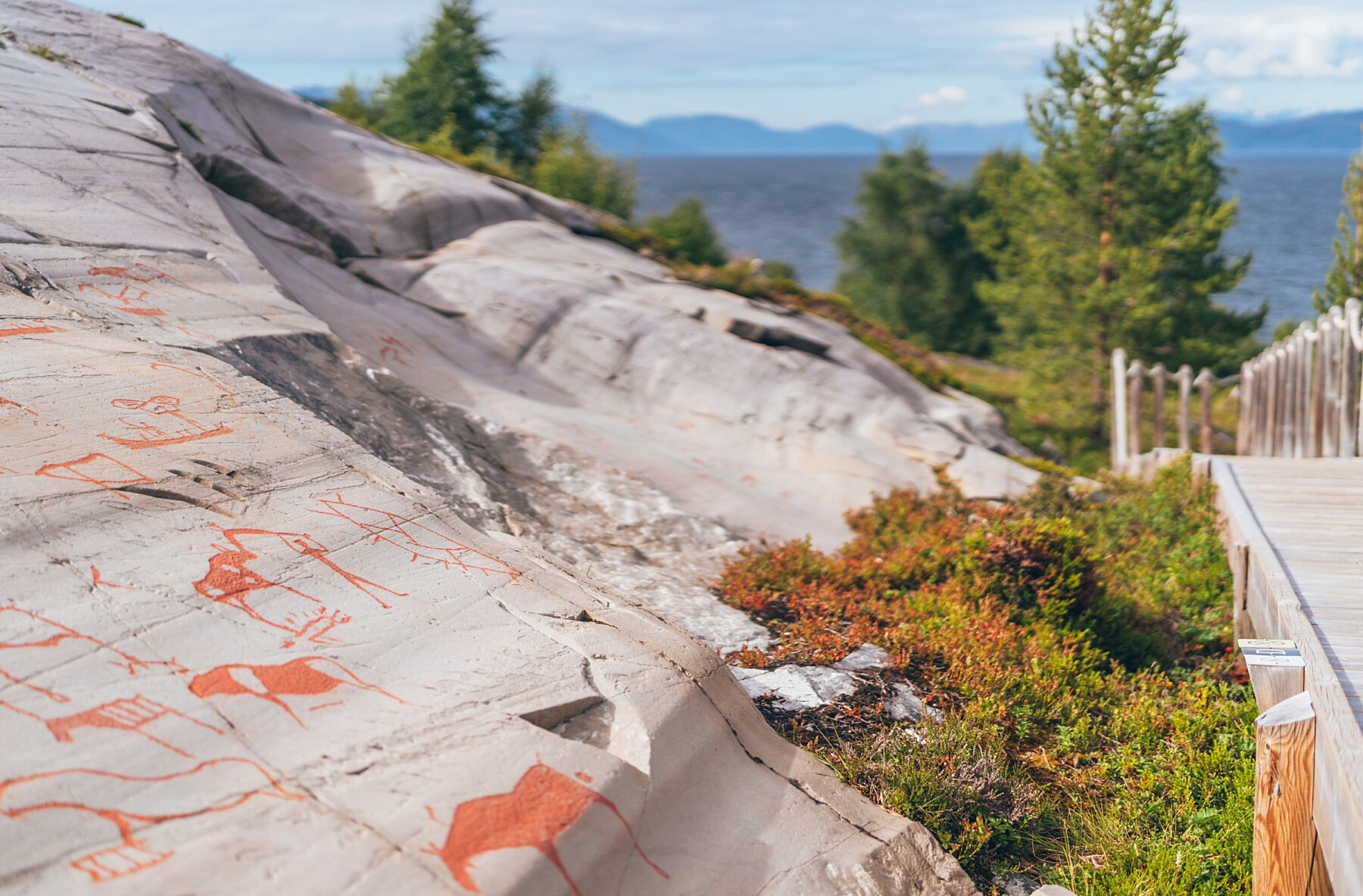 See and do | Alta Museum